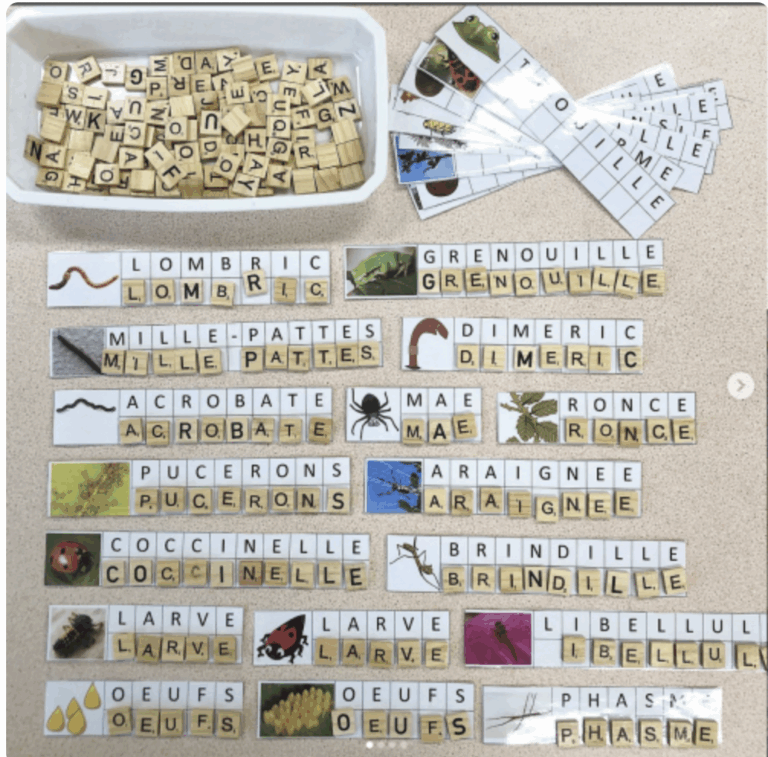 Lettres mobiles drôle de coccinelle – La maternelle pailletée